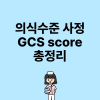 Gcs 사정 의식수준 사정 방법 총 정리 네이버 블로그